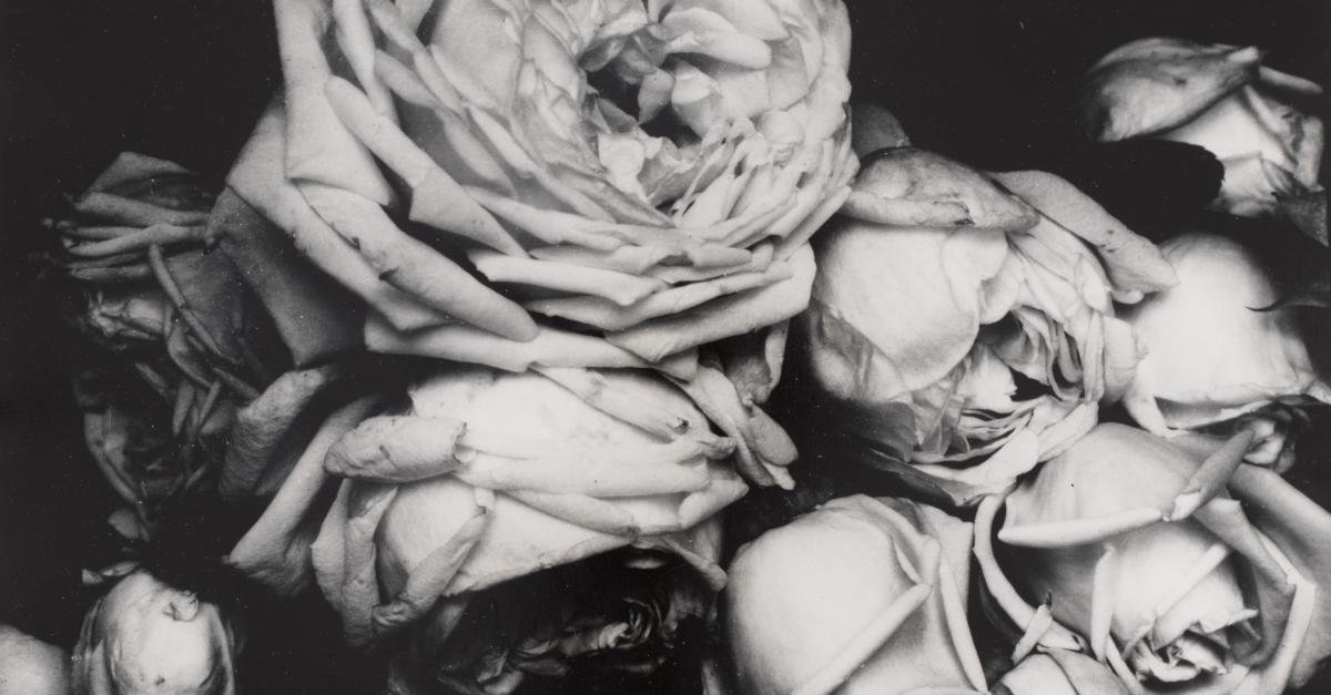 Edward Steichen (1879-1973). The Artist’s View | Nationalmusée